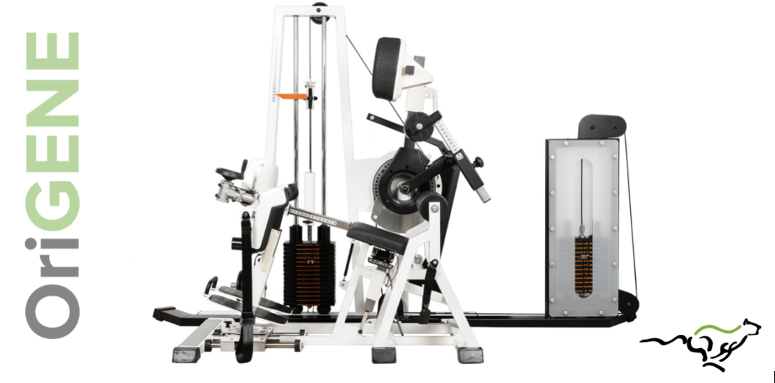 Chronische rugklachten | ReAT